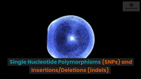 Single Nucleotide Polymorphisms Snps And Insertionsdeletions Indels Youtube