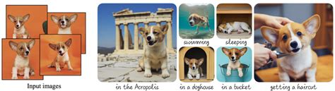 Fine Tuning Text To Image Diffusion Models For Subject Driven Generation