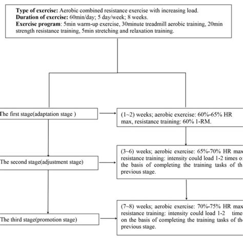 Exercise Intervention Flow Chart Download Scientific Diagram