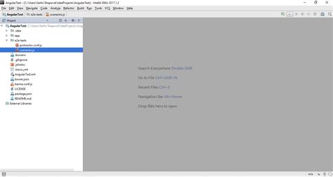 Node Js How To Run And Test AngularJS Project In IntellijIDEA Stack Overflow