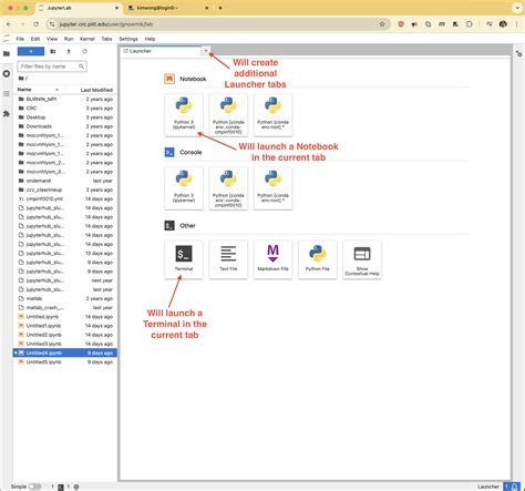 Jupyterhub On Teach Cluster Crcd User Manual