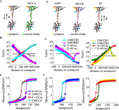 The Role Of Ef Induced Spatial Polarization Played In Ef Regulated Download Scientific Diagram