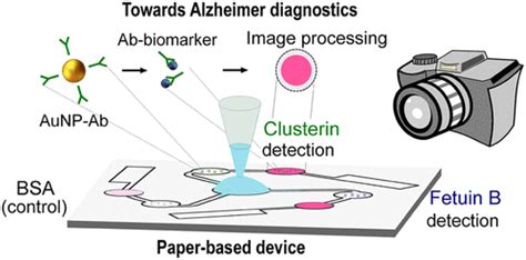 Colorimetric Paper Based Immunosensor For Simultaneous Determination Of Fetuin B And Clusterin