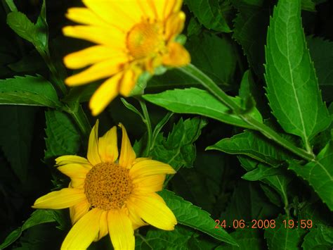 Mark Winterstein Medium