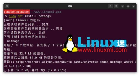 如何监控 Linux 上进程的网络使用情况 Linux迷