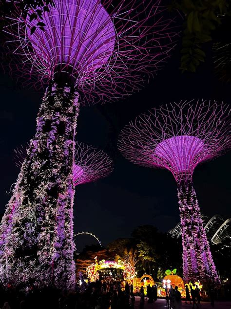 싱가포르 2일차 일정 보타닉가든오차드로드칠리크랩플라이어가든즈플라워돔슈퍼트리빅버스리버크루즈가든랩소디부기스마켓