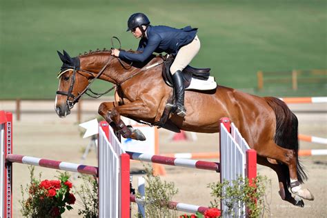 Horse Show Jumping