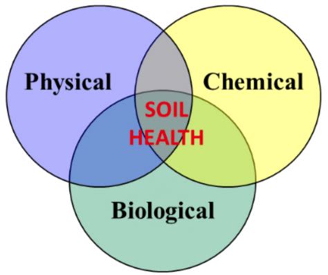 The Science Of Soil Is Easy Soil Hub International