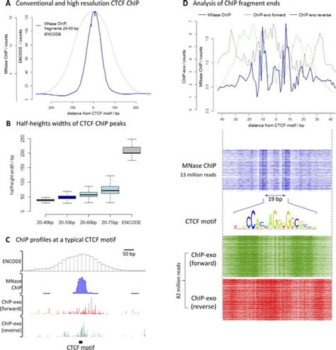 a simple method for generating high resolution maps of genome wide