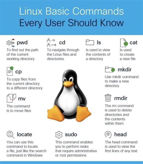 Syed Qasim Riaz On Linkedin Linux Linuxfoundation Kalilinux Redhat Cyberawareness Servers