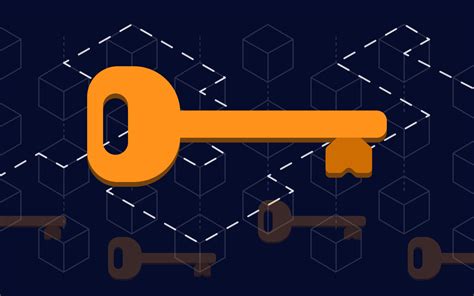 Tracking A Bitcoin XPub Address Or Ledger XPub Key Using Vezgo