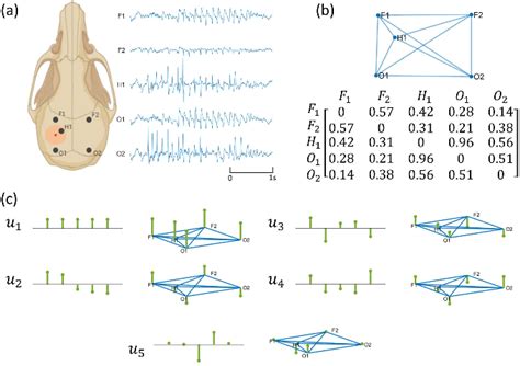 figure 2 from graph signal processing graph neural network and graph