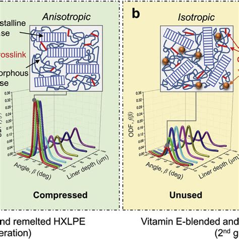 Takahashi Et Al 2532 Analyzed The Orientation Distribution Download Scientific Diagram