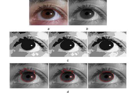 Implementation Of Ids Mrfcm On A Sample Image From Miche I Ip5 Download Scientific Diagram