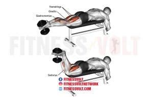 Dumbbell Leg Curl Hamstrings Fitness Volt
