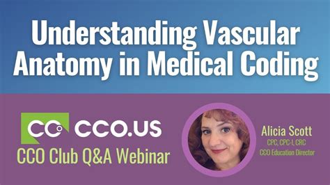 Understanding Vascular Anatomy In Medical Coding Youtube