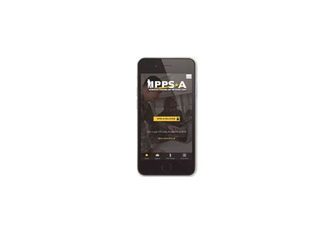 Ipps A User Guide