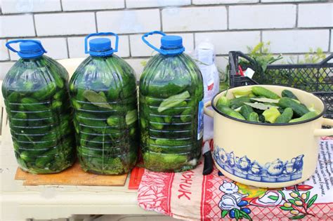 კიტრის მწნილი პლასტმასის ბოთლებში ზამთრისთვის