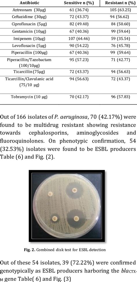 Antibiotic Susceptibility Pattern Of P Aeruginosa Isolates Download Scientific Diagram
