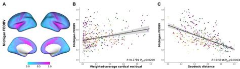 Cortical Cholinergic Innervation In Relation To Cortical Residual Map