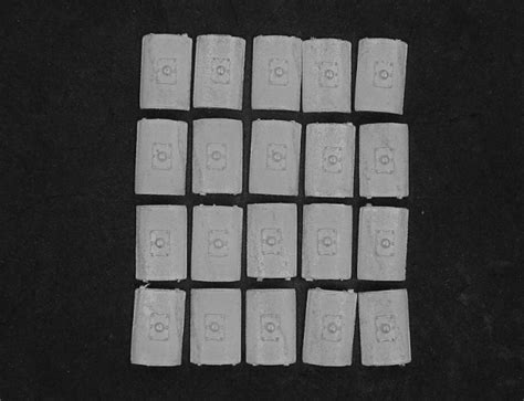 Ancient Early Imperial Roman Scutum Shields