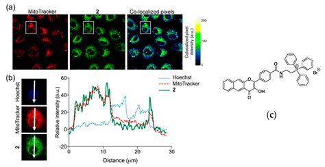 Nanomaterials Free Full Text Opportunities For Persistent Luminescent Nanoparticles In