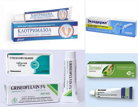 Лабораторная диагностика микозов.