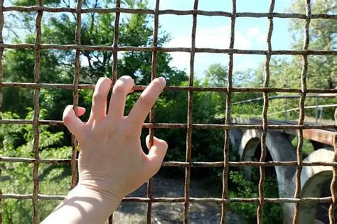 Free Pass Dream Interpretation