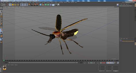 Eastern Firefly Glowing Basic Pose Model Turbosquid 2170447