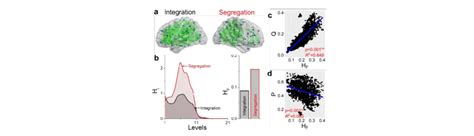 Hierarchical Segregation And Integration In Brain Functional
