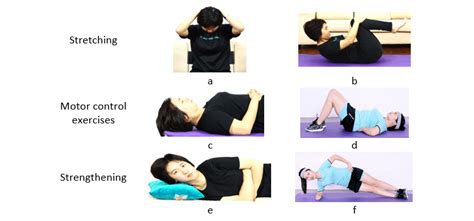 Screenshots Of Stretching Motor Control And Strengthening Exercises