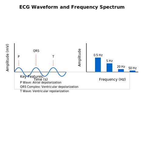 Biomedical Electronics Tutorials On Electronics Next Electronics