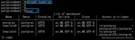 Postgresql及可视化界面navicat在linux Ubuntu的搭建postgres 用户管理 Navicat Csdn博客