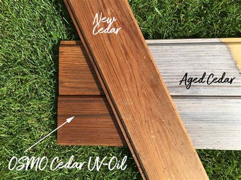 Restoring Cedar Cladding The Garden Room Annexe Guide