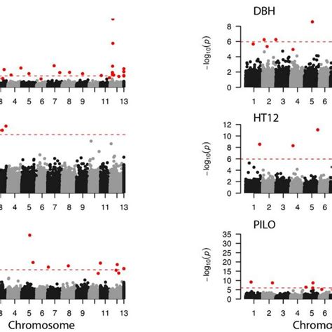 Manhattan Plots For Six Traits The Red Dashed Line Represents The Download Scientific Diagram
