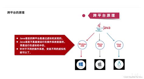 Java学习 Day04 Csdn博客