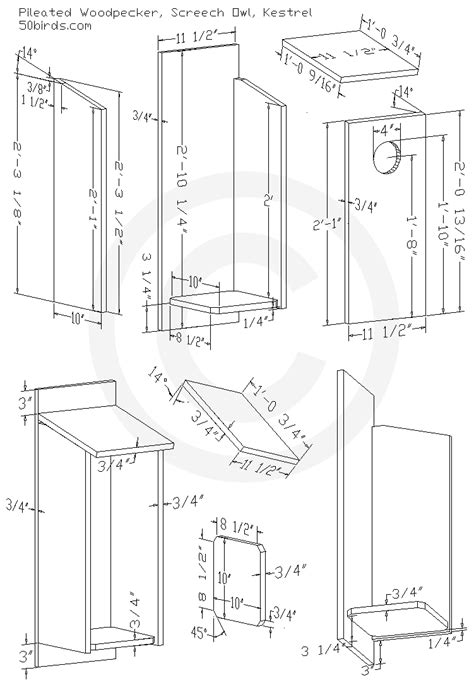 Pileated Woodpecker Birdhouse Plans 70birds