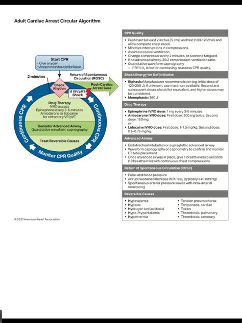 2020 Aha Algorithms Pdf
