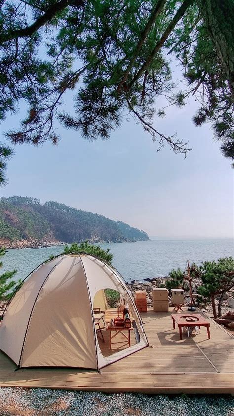 랑꾸캠핑🏕 감성캠핑여행기록 지금 우리 실시간📷 숲 속에서 힐링 가득🍃 해먹있는 사이트라니 ㅤ 지금 여기는 전부터 꼭