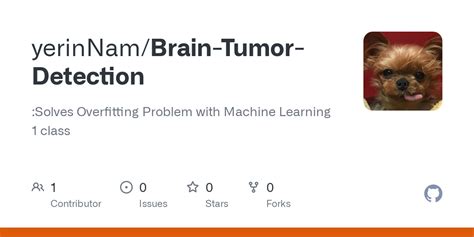 Github Yerinnambrain Tumor Detection Solves Overfitting Problem
