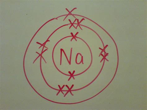 Chemistry Draw The Atomic Structure Of A Sodium Atom And A Sodium Ion Explain Why You Draw