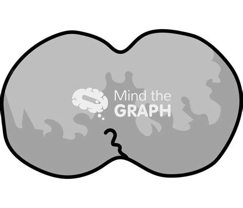 Free Fertilization Bivalve Life Cycle Icons Symbols Pictures And Images Mind The Graph