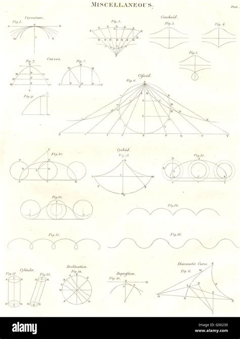 Mathematics Curvature Conchoid Cissoid Cycloid Declination Diacaustic