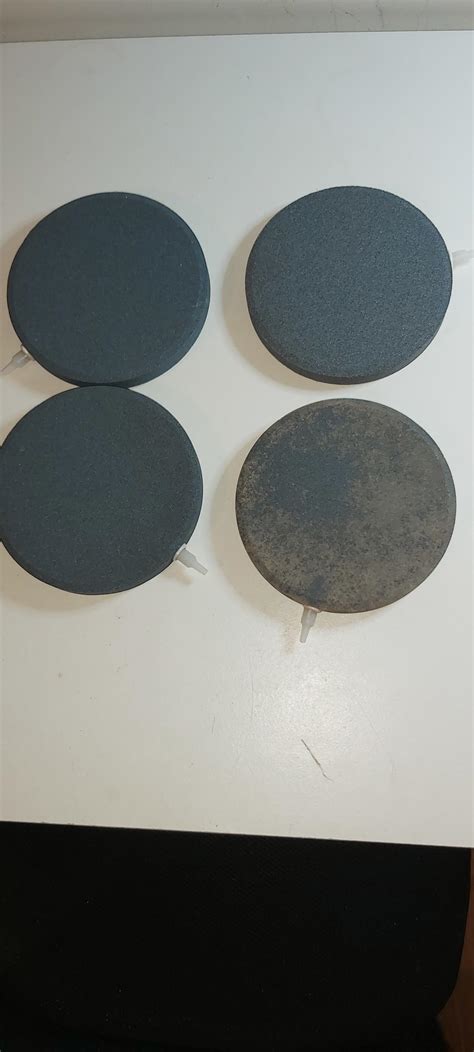 What Happened To My Bubbler Rdwc