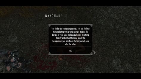 What Kinda Mod Is It Skyrim Technical Support LoversLab