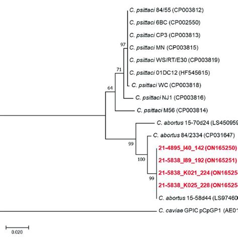 Phylogenetic Analyses Of Multilocus Sequence Typing Mlst Concatenated