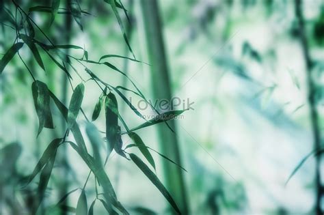 녹색 프리미엄 대나무 라인 배경 이미지 Hd 공원 빨간 배경 팀 배경 사진 무료 다운로드 Lovepik