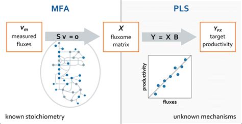 Hybrid Metabolic Flux Analysis Framework Hybrid Metabolic Flux