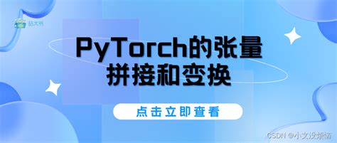 Pytorch的张量拼接和变换