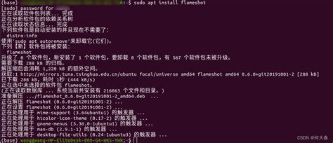 ubuntu（20 04）下截图贴图软件——flameshot（带设快捷键） ubuntu flameshot csdn博客